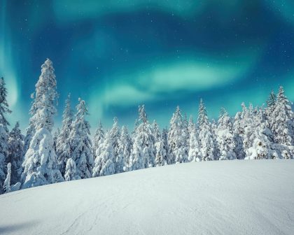 Domov - Najlepša otroška doživetja